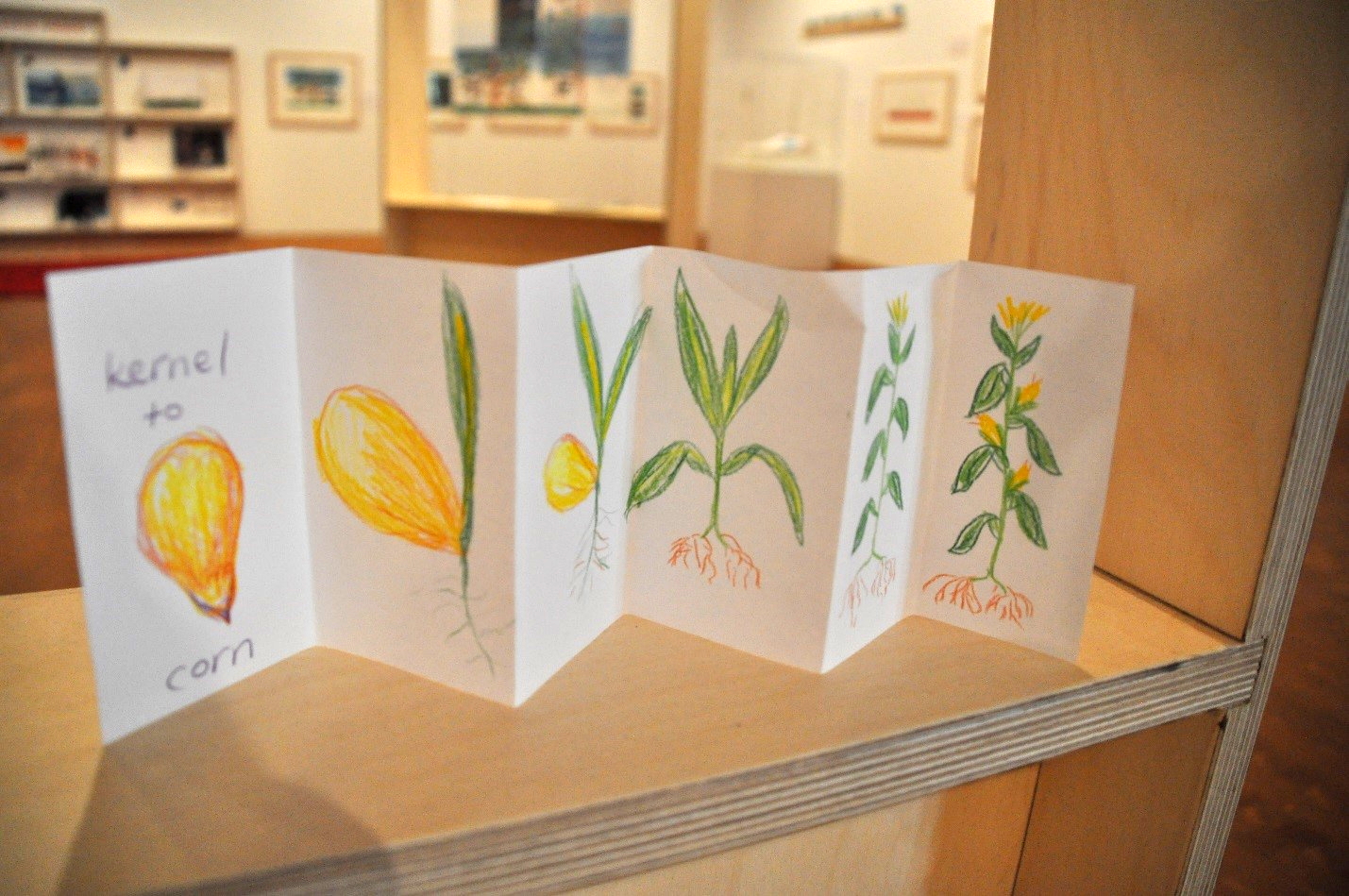 Fold, Write, Draw | Carle Museum