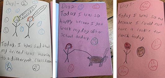 My School Emotions Notebook | Carle Museum