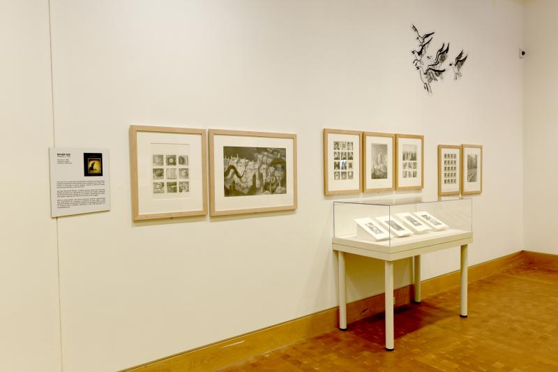 Speechless: The Art of Wordless Picture Books | Carle Museum