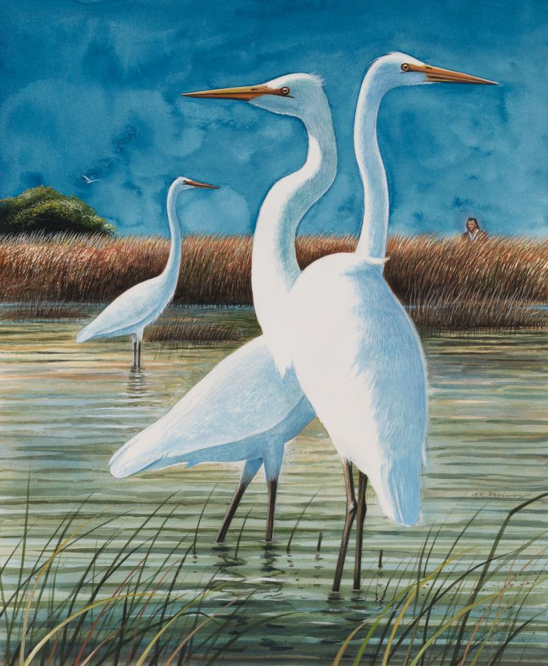 Collection Focus: Wendell Minor | Carle Museum