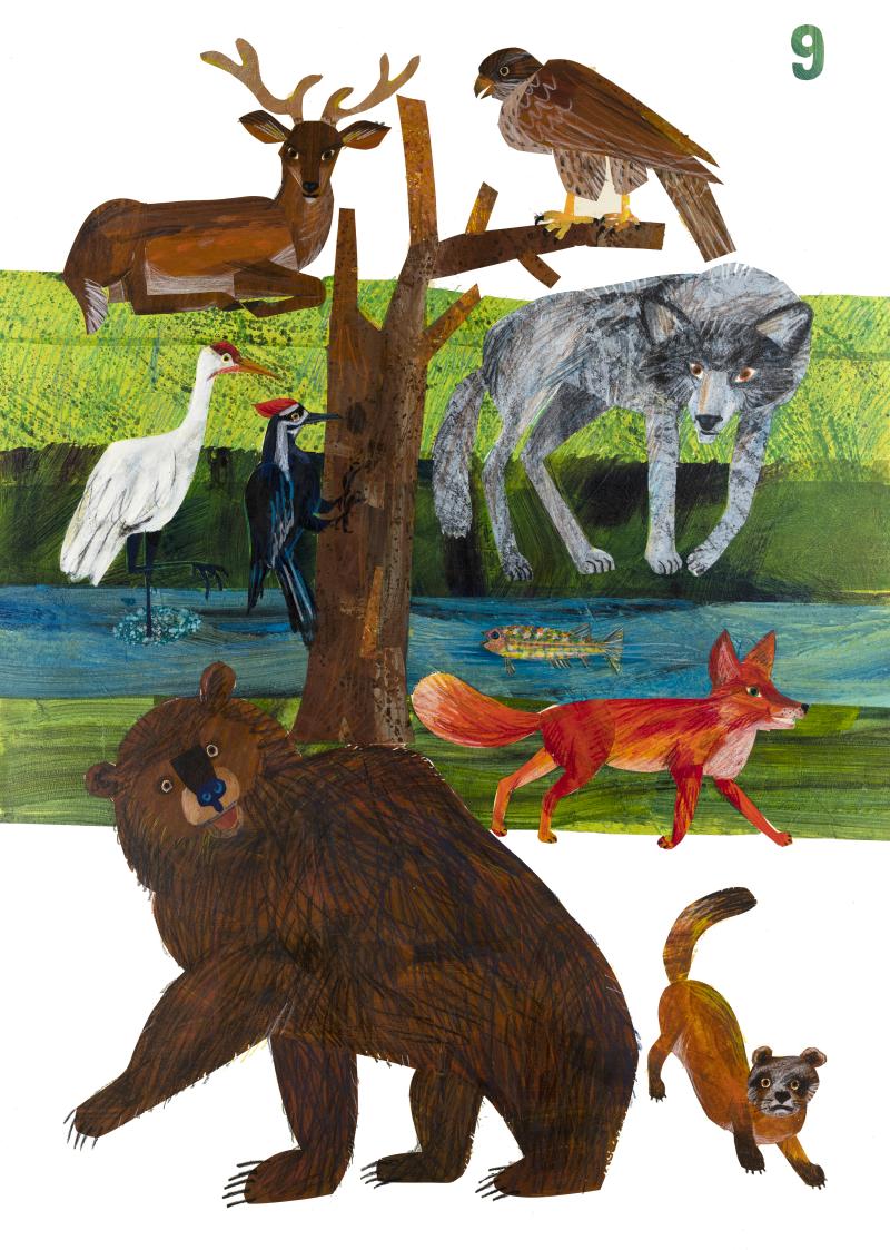 Environmental Eric Carle | Carle Museum