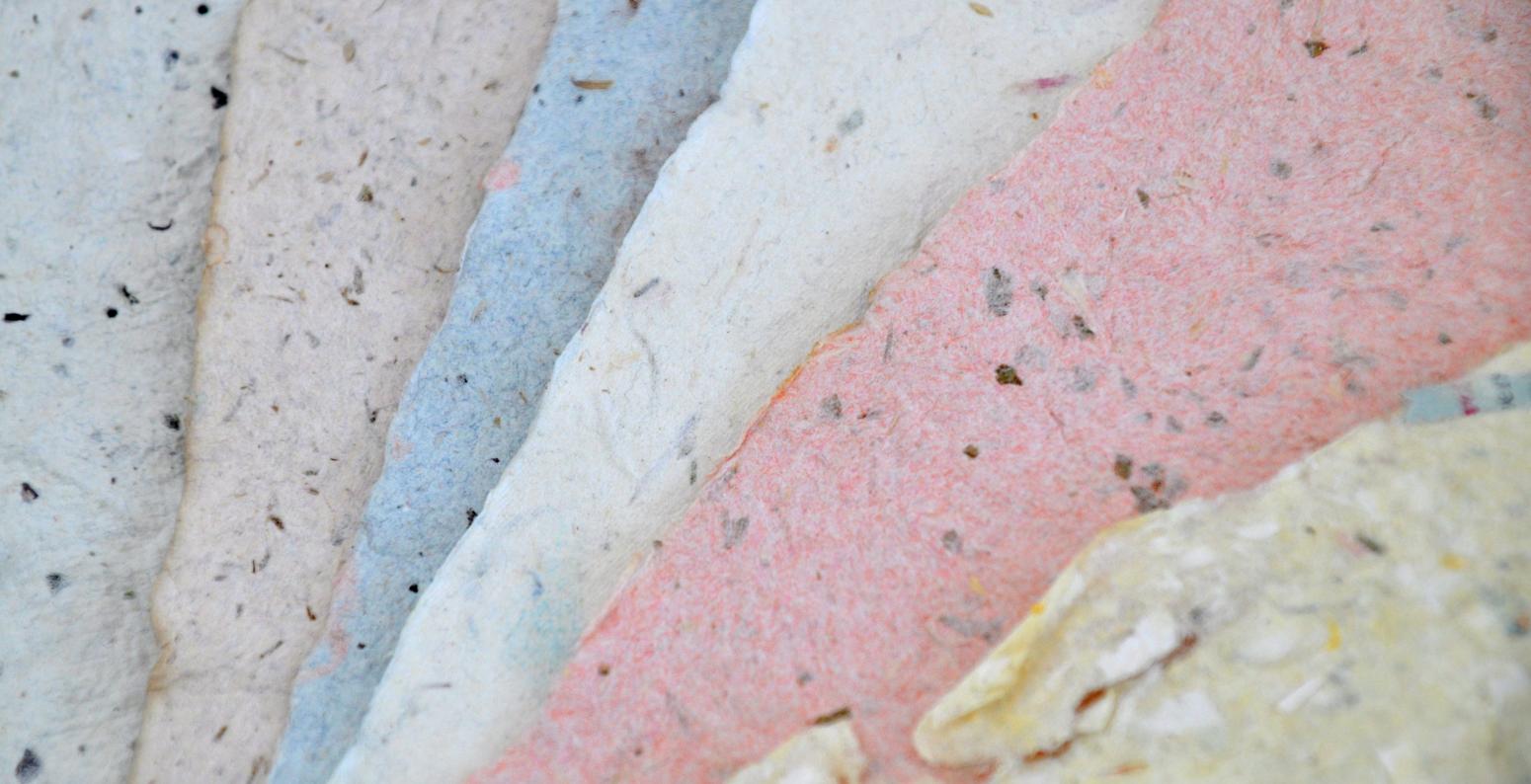 How to Make Paper | Carle Museum