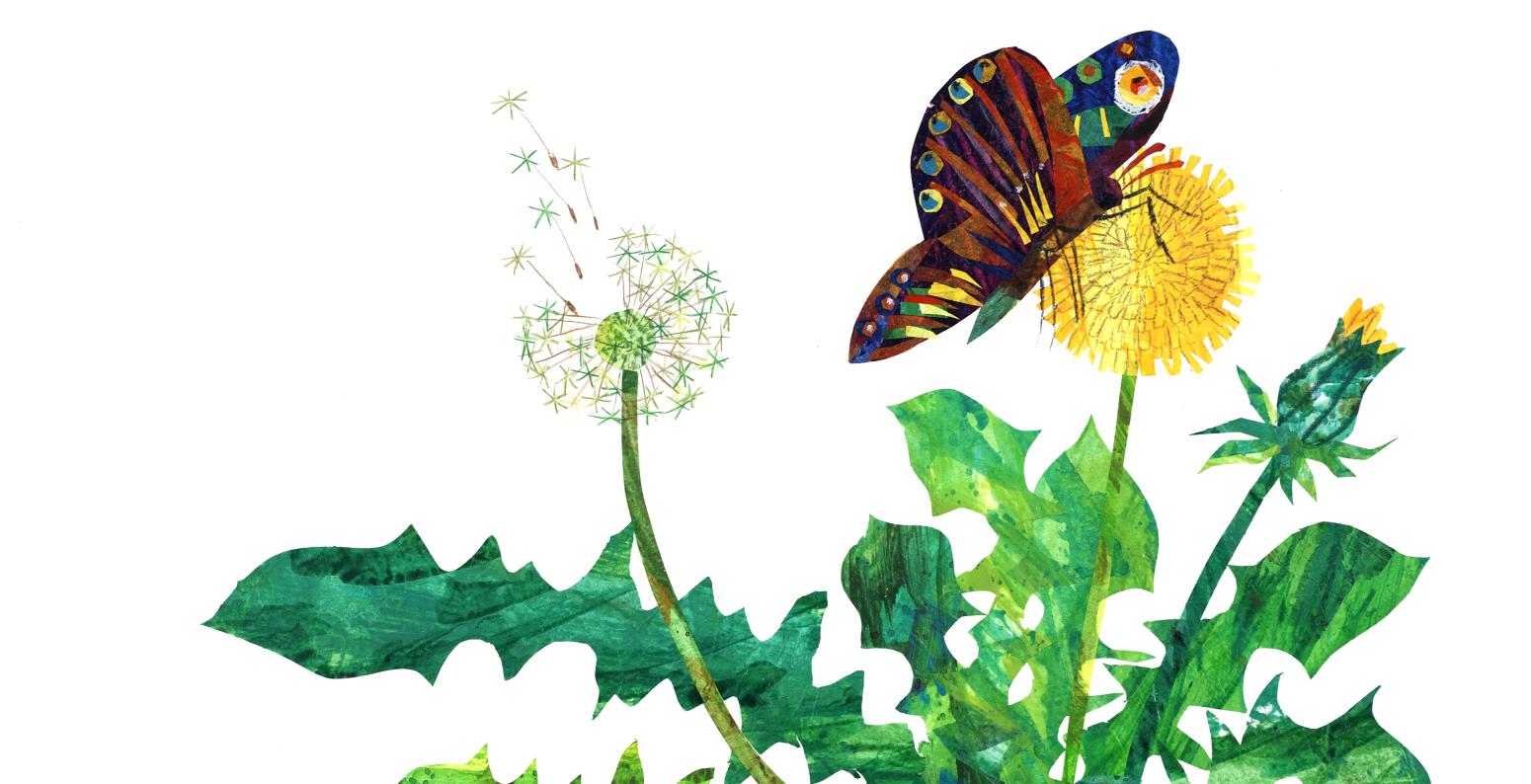 Carle: Bees, Butterflies, and Other Bugs | Carle Museum