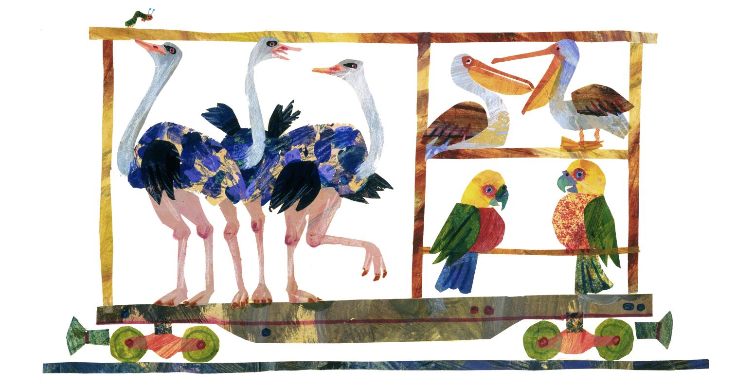 Eric Carle: Feathers, Fins, and Fur! | Carle Museum