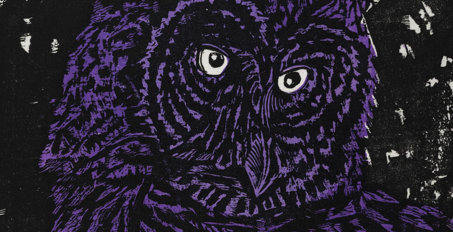 Illustrated Owls: A Who’s Hoo from the Museum’s Vault | Carle Museum