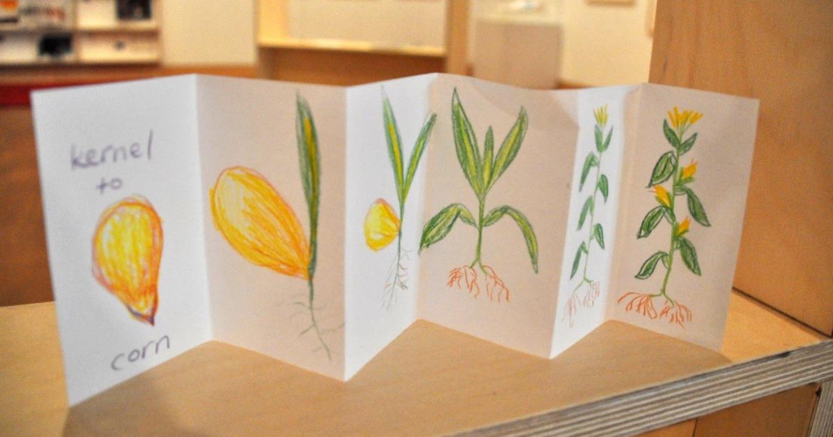 Fold, Write, Draw | Carle Museum