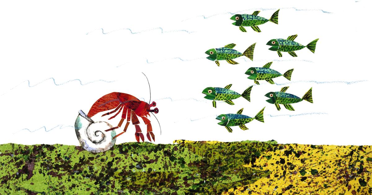 Eric Carle Under the Sea | Carle Museum