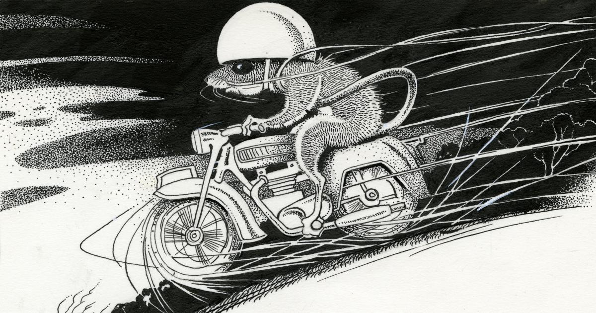 Louis Darling: Drawing the Words of Beverly Cleary | Carle Museum