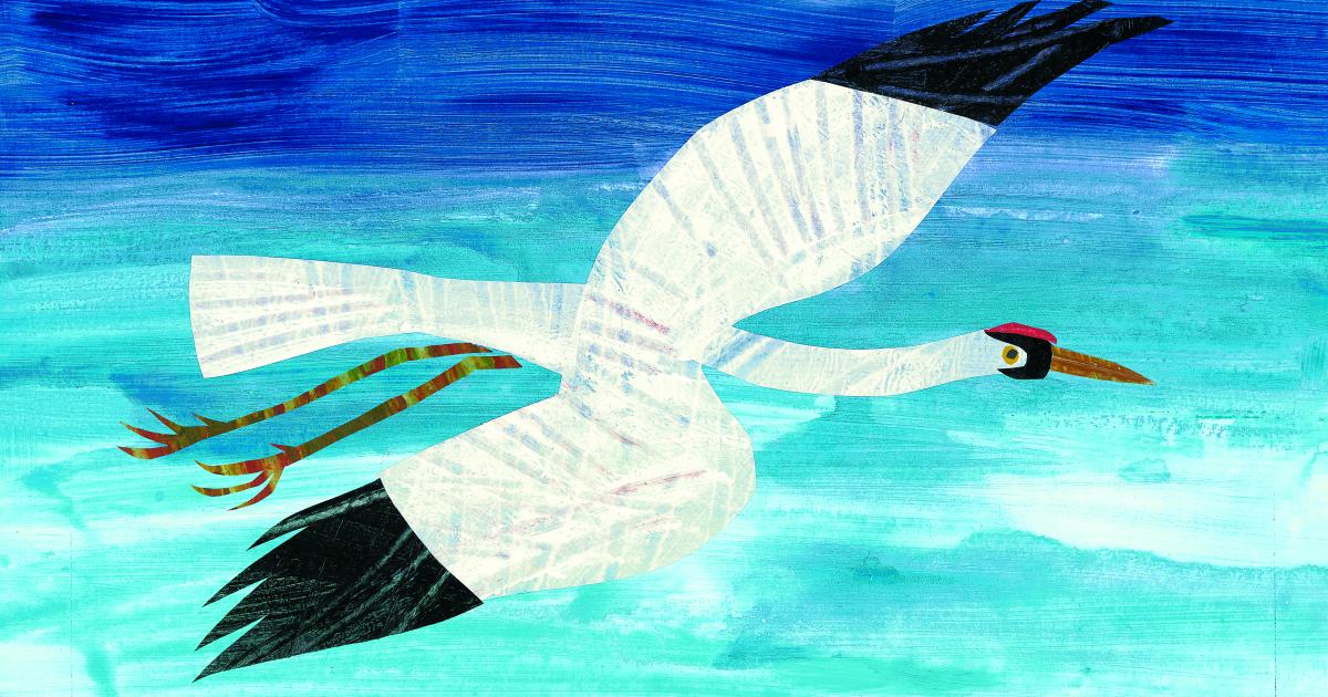 The Wonderful World of Eric Carle | Carle Museum