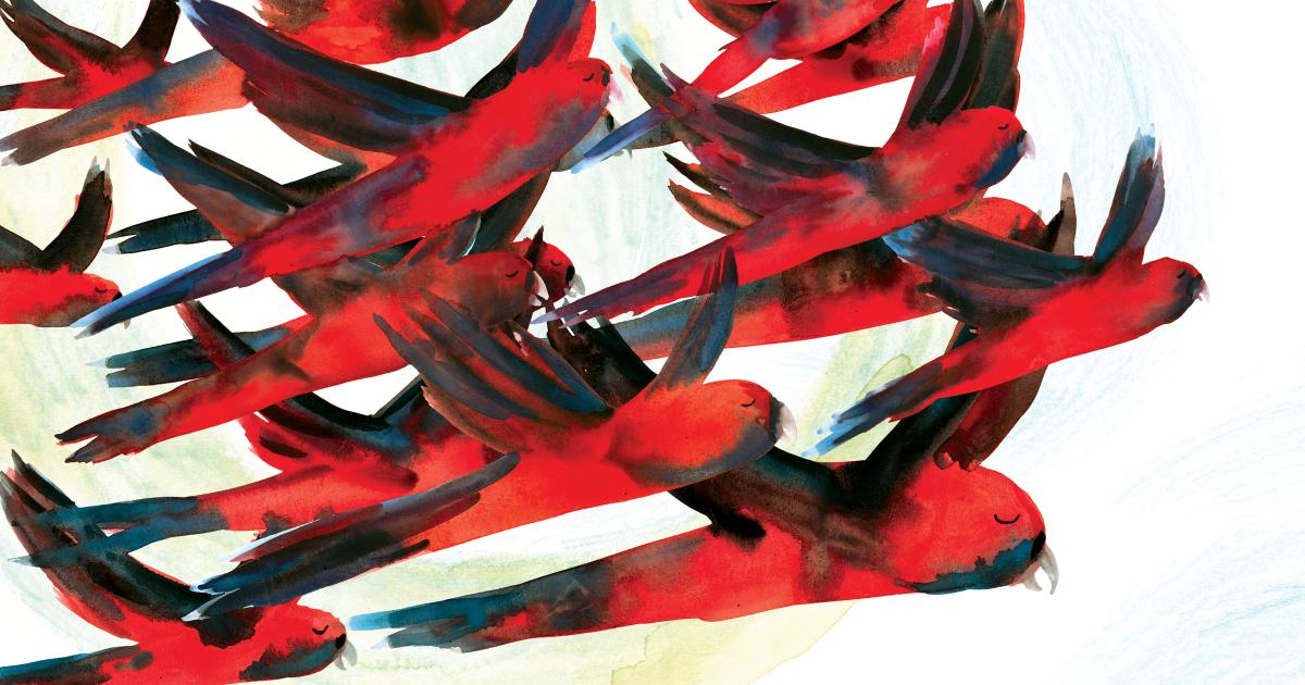 Eric Carle and Friends: What's Your Favorite Color? | Carle Museum