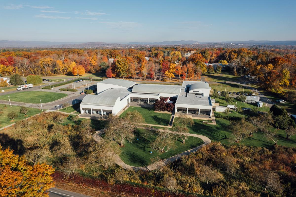 Read our Annual Report | Carle Museum