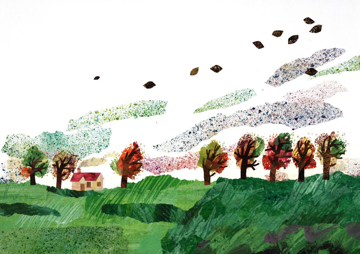 Through the Seasons with Eric Carle | Carle Museum